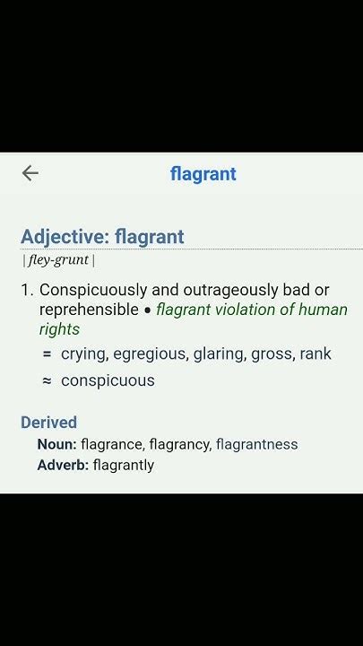 Flagrant Word Meaning Worddefinition Youtube