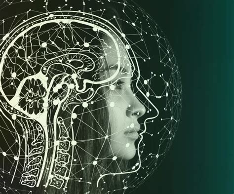 Adversarial Collaboration Drives Breakthroughs In… Templeton World Charity Foundation Inc