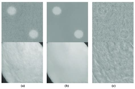 Examples Of Texture Component And Smoothness Component Decomposition Download Scientific