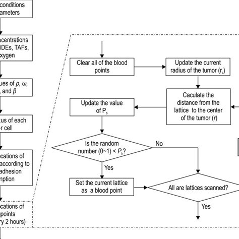 Simulation Process Of The Mathematical Model Download Scientific Diagram