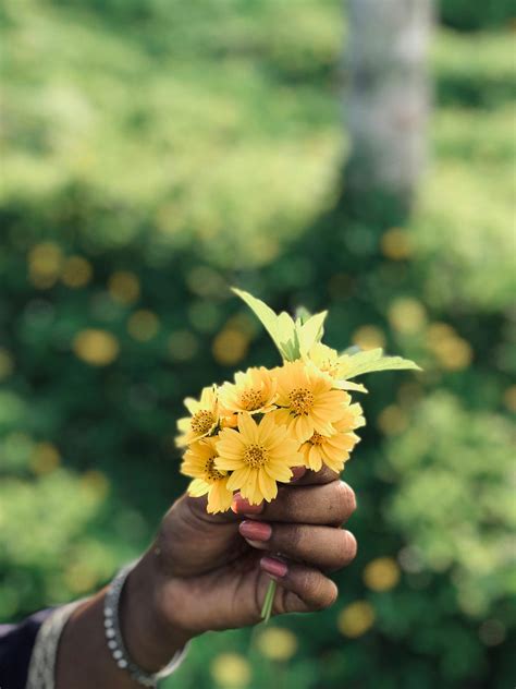 Programming Llm Generate Synthetic Data In Json Format By Alessandro Pinzuti Phd