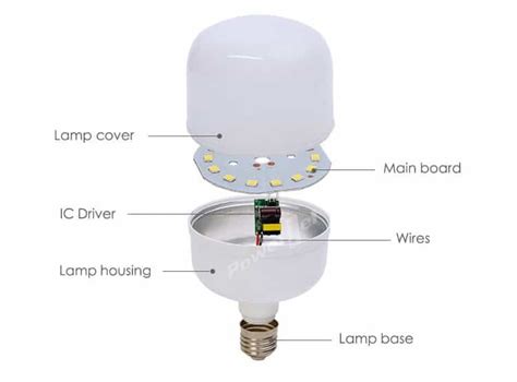 What Is The Whitest Led Bulb At Lois Katz Blog