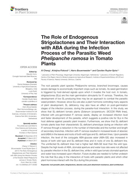 Pdf The Role Of Endogenous Strigolactones And Their Interaction With