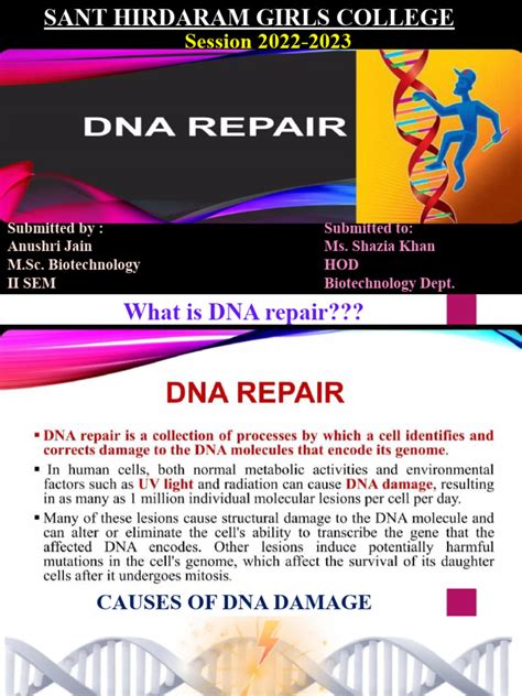 Dna Repair System Pdf