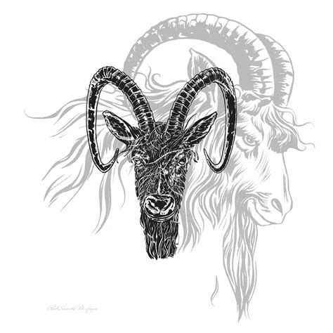 Capricorn Drawing