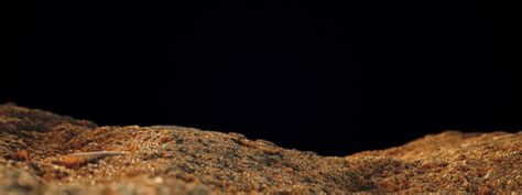 금광석 모래는 3d 렌더링 제품 디스플레이 모형을 위한 황금 땅 질감을 닫습니다 광산에 대한 스톡 사진 및 기타 이미지 광산 금색 바위 Istock