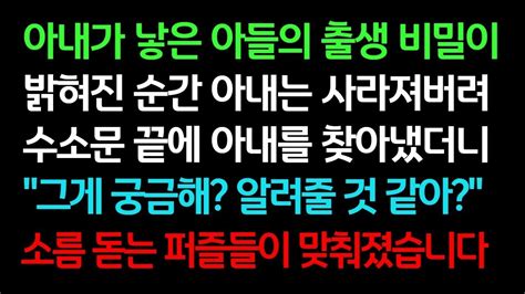 실화사연 아내가 낳은 아들의 출생 비밀이 밝혀진 순간 아내는 사라져버려 수소문 끝에 아내를 찾아냈더니 소름 돋는 퍼즐들이 맞춰졌습니다ㅣ라디오드라마ㅣ사이다사연ㅣ Youtube