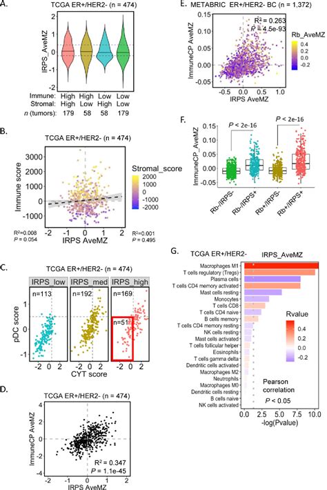 Figure 1 From Activation Of The Interferon Signaling Pathway Is Associated With Resistance To