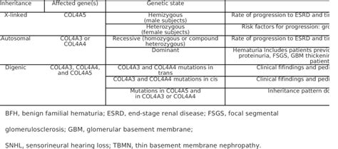 New Classifification System For Alport Syndrome And Related Disorders