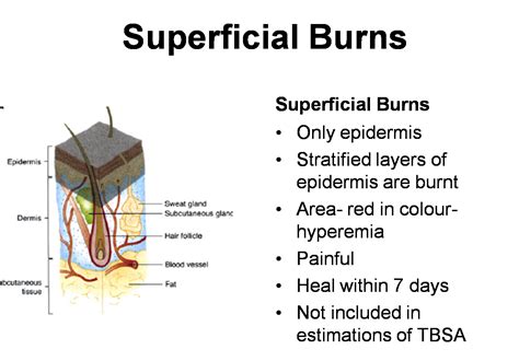 Medicodental Burns