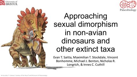 Pdf Approaching Sexual Dimorphism In Non ­avian Dinosaurs And Other