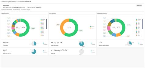 License Usage Summary For Msp Accounts
