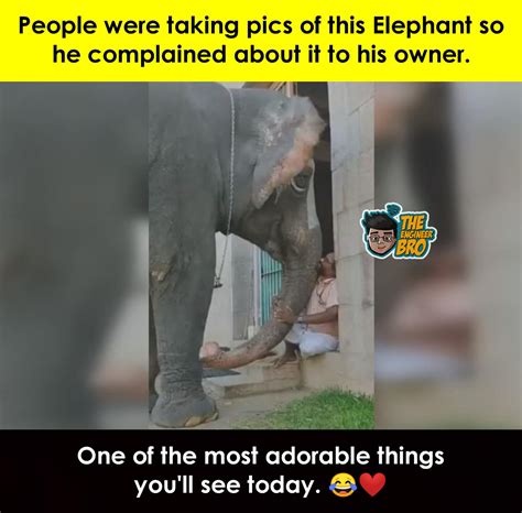 The Engineer Bro Bond Of Love Facebook