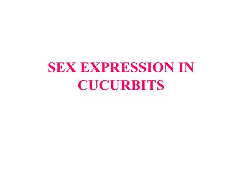Sex Expression In Cucurbits Pptx