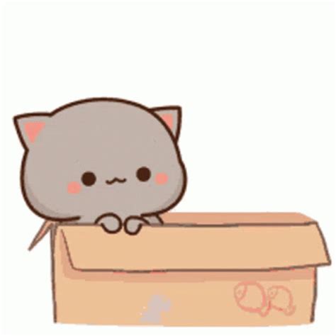 Cute Cat  Cute Cat Cartoon Discover And Share S