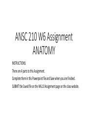 Labeling Bones And Organs Anatomy Assignment For ANSC Course Hero