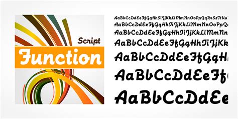Function Script Pro Font