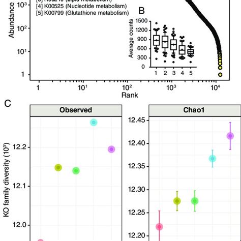 Abundance Distribution And Diversity Of Gene Families A Download