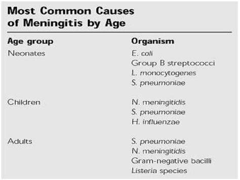 Cns Infection 2019 Ppt
