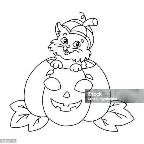 귀여운 고양이가 호박에 앉아 있습니다 할로윈 테마 아이들을위한 색칠 공부 책 페이지 만화 스타일 흰색 배경에서 격리된 벡터 그림입니다 할로윈에 대한 스톡 벡터 아트 및 기타