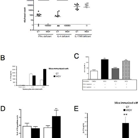 Role Of T Helper Subset Associated Cytokines In Protection From Download Scientific Diagram
