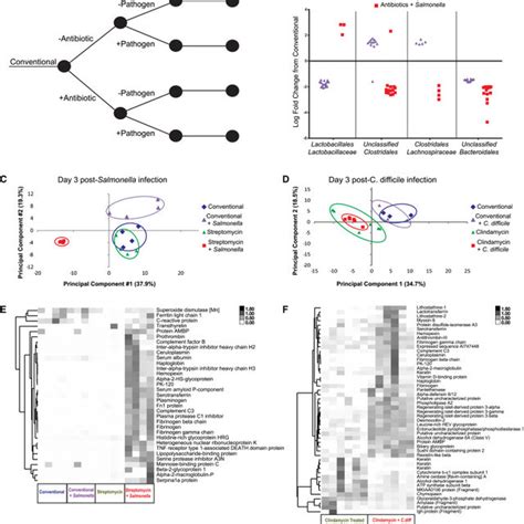 The Effect Of Pathogen Infection On The Host And Microbiota Download