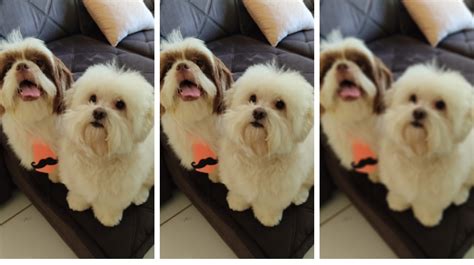 Human Vision Importance In Image Quality Psnr • Jean Vitor