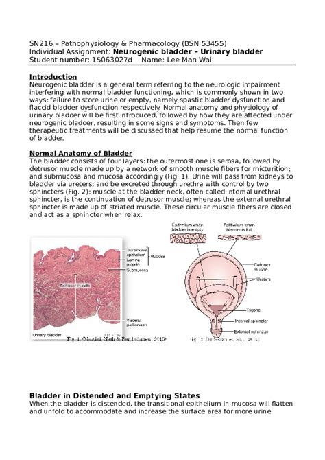 Doc Neuogenic Bladder Analysis