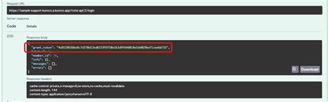 How To Check The Api Security Using Swagger Ui Kuroco