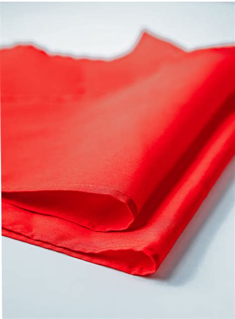 得力（deli） 红领巾小学生通用纯棉高档红领巾少先队员丝绸全棉布1 2米1 6年级儿童红领巾批发 1 0米纯棉款 亲肤不掉色（10条） 黑龙江省庆团电子商务有限公司