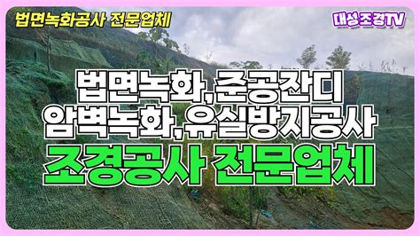 조경 공사 전문 업체 전국 공사 가능 법면녹화암벽녹화준공잔디공사 전문업체 대성조경 Youtube