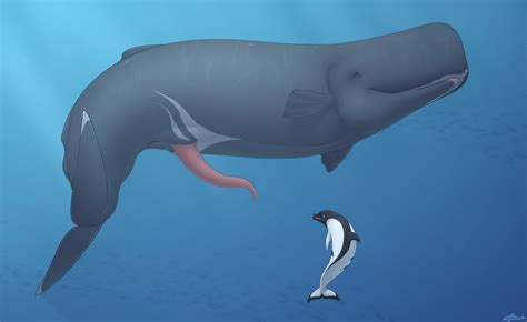 Rule 34 Anatomically Correct Bottlenose Dolphin Cetacean Delphinoid