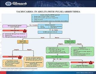 Arritmias Algorithm PPT