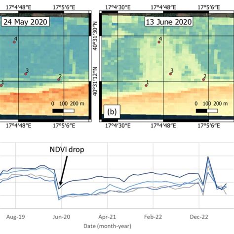 Map Of Ndvi Values As Calculated From Sentinel 2 Images Along The Download Scientific Diagram