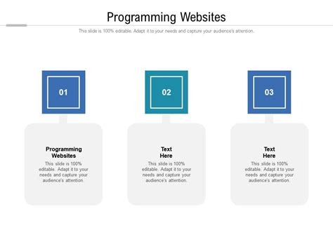Programming Websites Ppt Powerpoint Presentation Portfolio Visuals Cpb