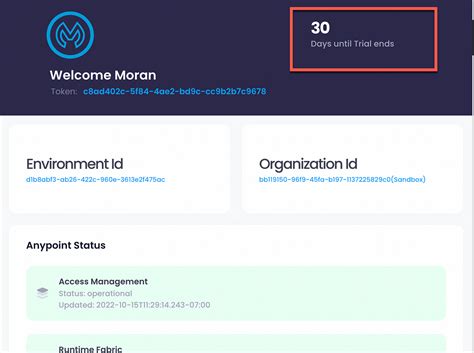 Anypoint Platform Chrome Extension By Edgar Moran Another Integration Blog Medium