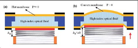 Figure 2 From Tunable Focus Liquid Lens Actuated By A Novel Piezoelectric Motor Semantic Scholar