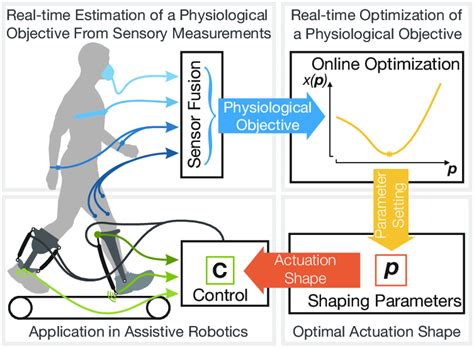 Here Is An Illustration Of The Proposed Concept Of Body In The Loop Download Scientific Diagram