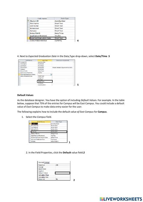 Lesson4 Adding Fields Creating A Database Worksheet Live Worksheets