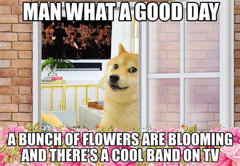 What A Lovely Day Rdankmemesfromsite19