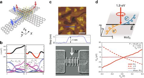 Spin Orbit Coupling In 2d Materials A The Room Temperature Spin Hall Download Scientific