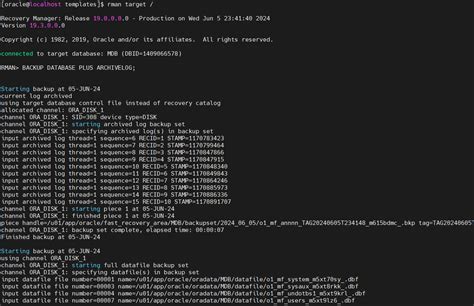 Backup Cdb Container Database And Pdb Pluggable Database Datalinksvn Backup Cdb Container Database And Pdb Pluggable Database Datalinksvn