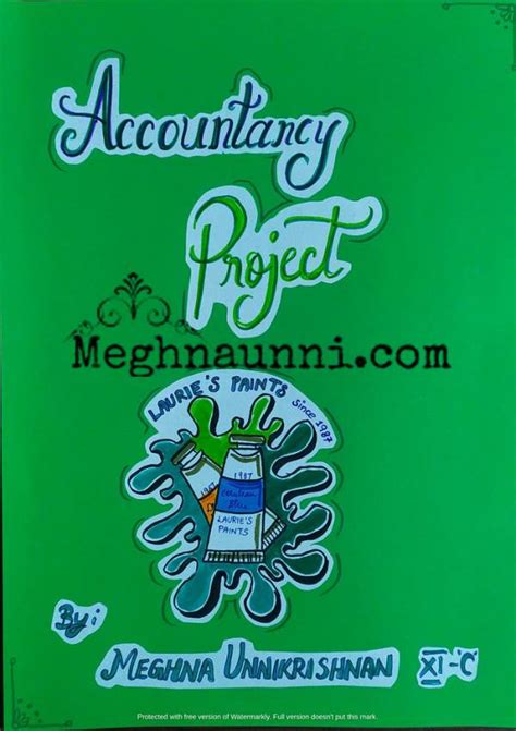 Accountancy Cbse Class 11 Final Project Sample