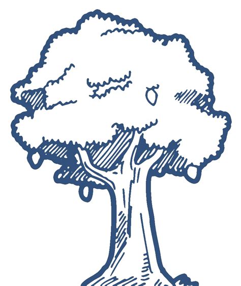 Mango Tree Clipart Clipground