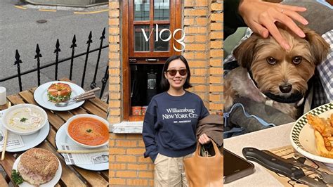 Sub Vlog 칸초 강아지 모델 촬영🐶📸 셀린느 버킷백 리폼 맛있는 베이글맛집과 프렌치레스토랑 🥯 Youtube