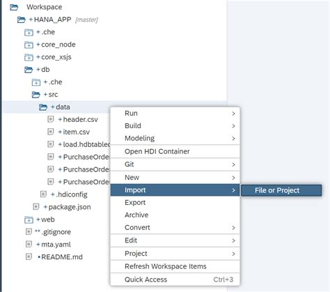 Import Tables And Large Datasets XS Advanced SAP Tutorials