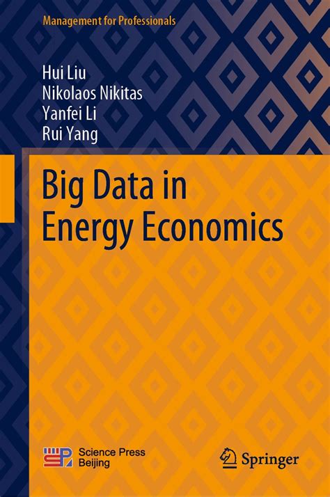 Big Data In Energy Economics EBook By Hui Liu EPUB Book Rakuten Kobo New Zealand
