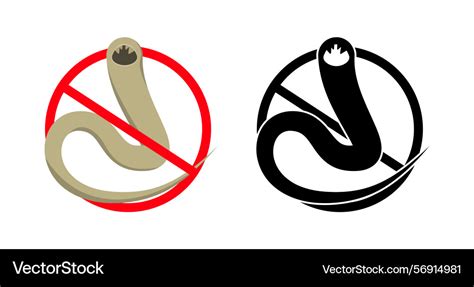 Stop Hookworm Ancylostoma Duodenale Necator Vector Image