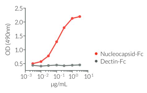 Sars Cov 2 Nucleocapsid N Fc And N His Invivogen