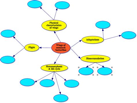Graphic Organizer Semantic Map Download Scientific Diagram